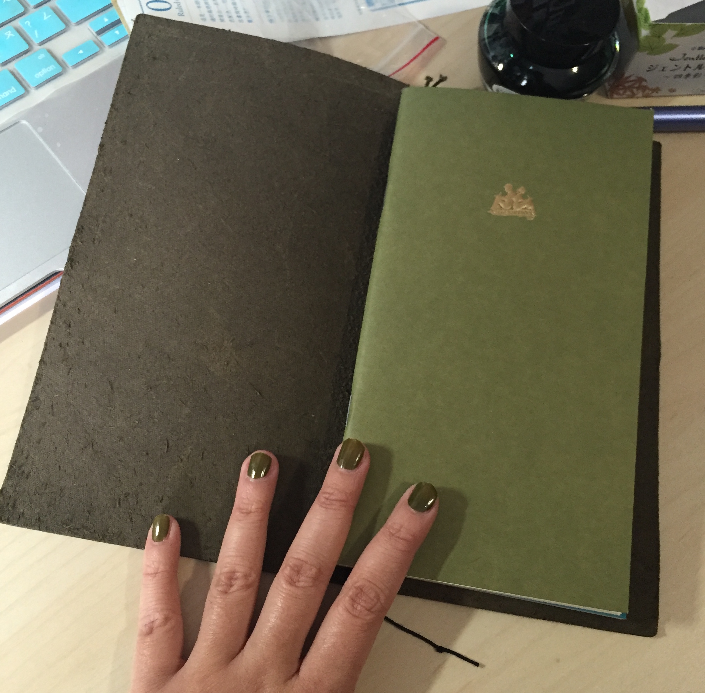 Olive Edition Traveler’s Notebook review – PENGUINS CREATIVE