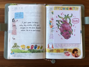 13 Reasons Why I Love Using A Hobonichi Techo – PENGUINS CREATIVE